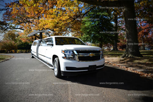 DonвЂ™t Miss the Opportunity to Enjoy Pennsylvania Limo Service | Bravo ...